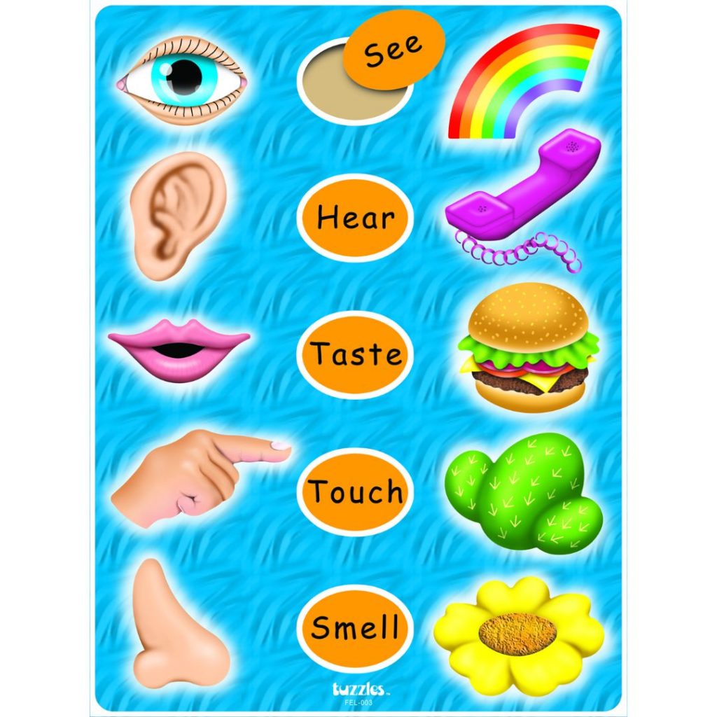 Our Senses Puzzle (15pcs) - Step4