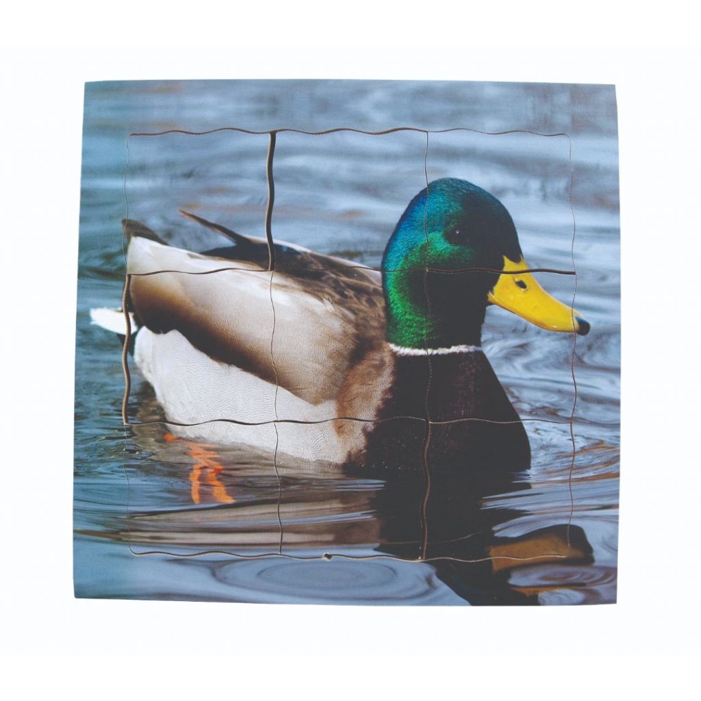 Duck Life Cycle Layered Tray Puzzle - Step4