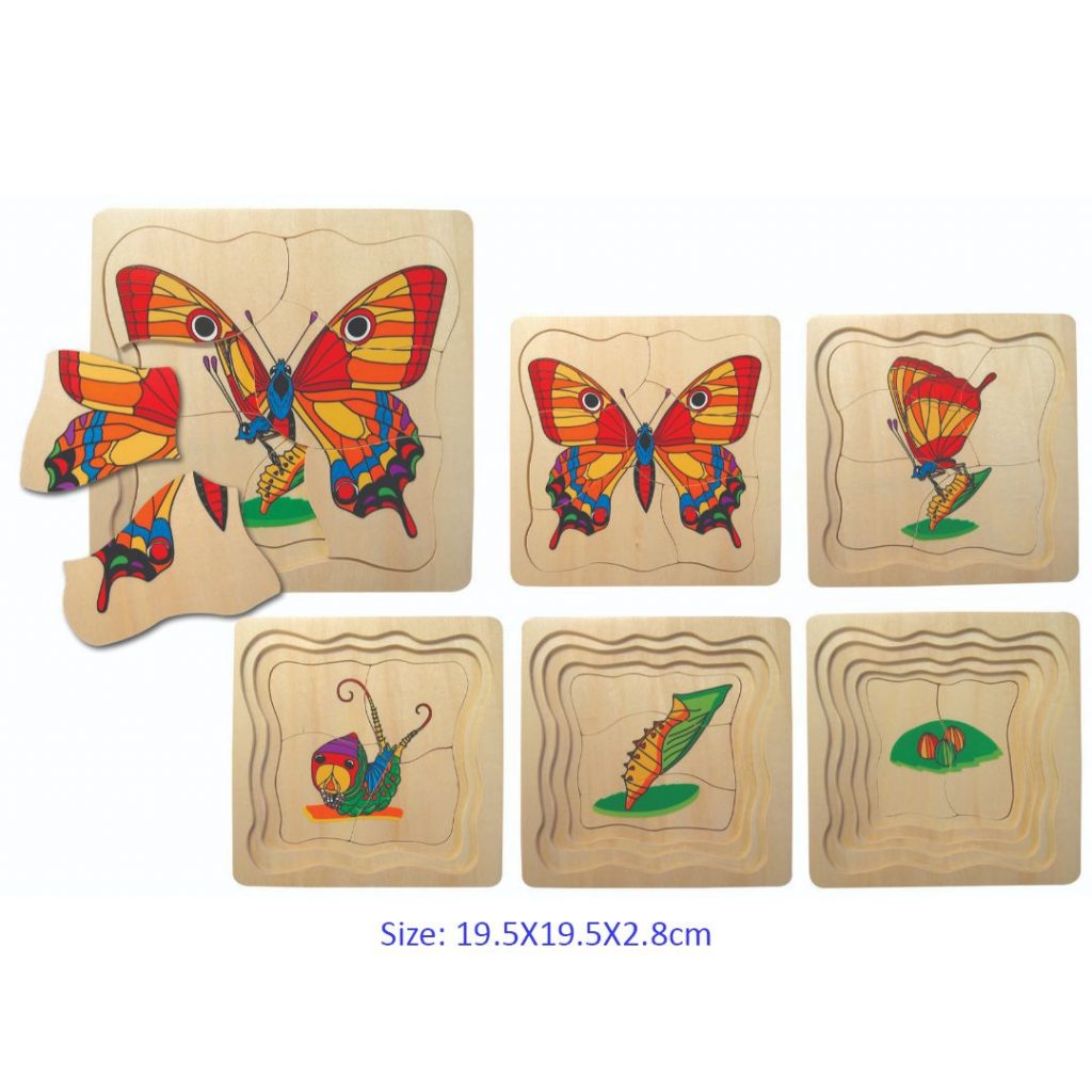 Butterfly Life Cycle Layered Puzzle - Step4
