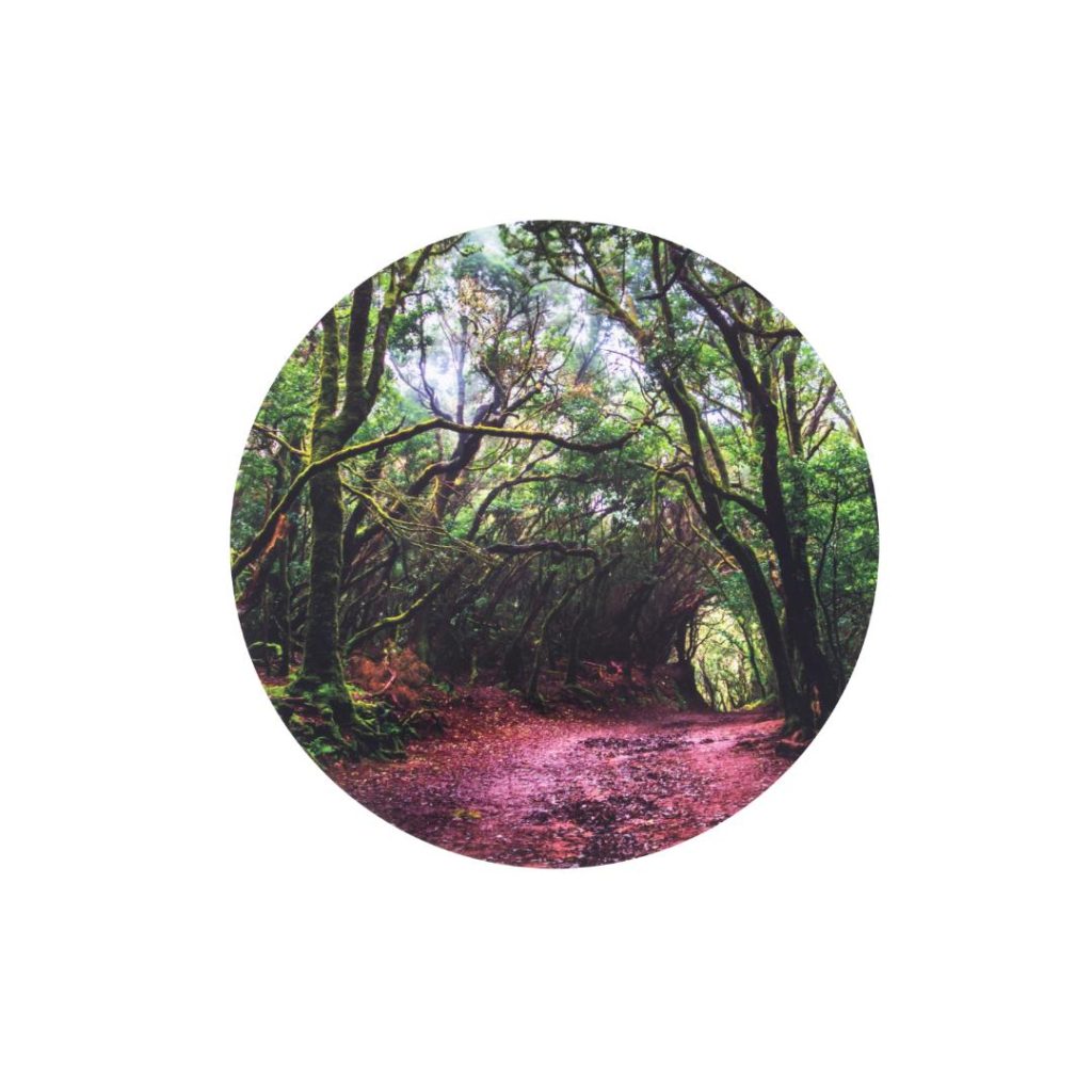 Sensory Mood Discovery Table and Jurassic Set - Step4